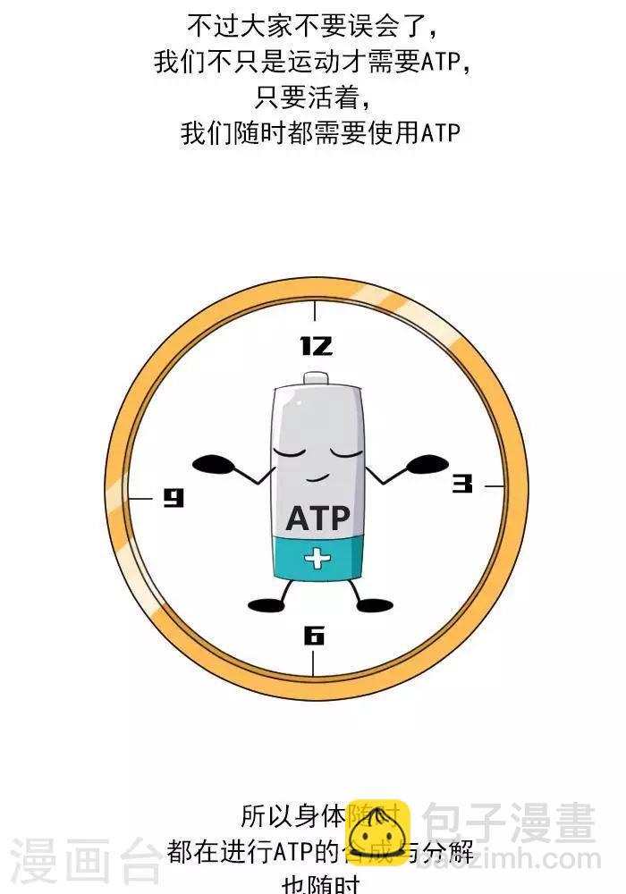 第7話 ATP是什麼？ - 大牛健身漫畫 - 包子漫畫