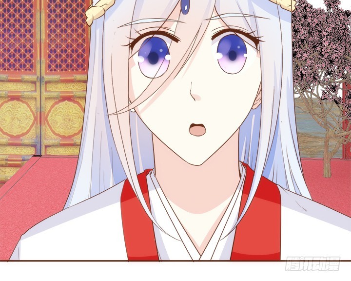 65話 嫁給我吧(1/4) - 黑白佩 - 包子漫畫